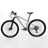 China Titanium Alloy MTB 29er 12 Speed SRAM SX Eagle Hydraulic Disc Brake XC Mountain Bike 11.9kg for sale