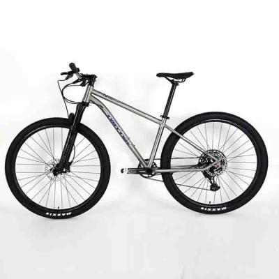 China Titanium Alloy MTB 29er 12 Speed SRAM SX Eagle Hydraulic Disc Brake XC Mountain Bike 11.9kg for sale