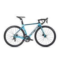 China Carbon Fiber 700C Road Bike Thru Axle Disc Brake 142mm 22 Speed Shimano 105 for sale