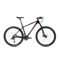 China 29er LEOPARDpro Carbon Fiber Mountain Bike RETROSPEC 30 Speed Groupset ZOOM Hydraulic Brake for sale