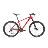 China 29er Carbon Fiber Mountain Bike for sale