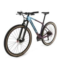 China PREDATORpro RETROSPEC 13 Speed Carbon Mountain Bike 29er Quick Release Hydraulic Brake 11.7kg for sale
