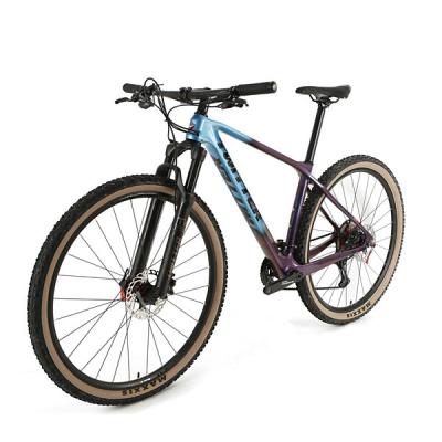 China PREDATORpro RETROSPEC 13 Speed Carbon Mountain Bike 29er Quick Release Hydraulic Brake 11.7kg for sale
