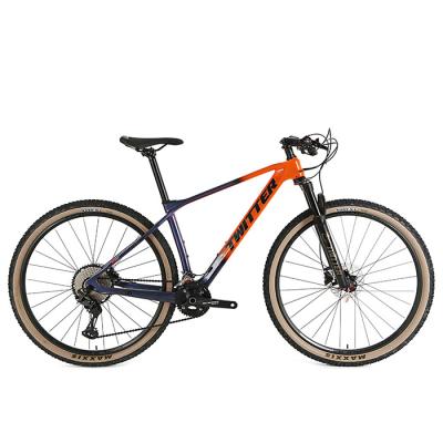 China 29 Inch Carbon Fiber Mountain Bike SHIMANO XT 24S 11.6kg Boost MTB for sale