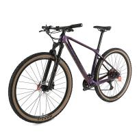 China Carbon Fiber Mountain Bike 29er 12 Speed SRAM GX EAGLE Thru Axle 12x148mm Boost for sale