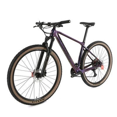China Carbon Fiber Mountain Bike 29er 12 Speed SRAM GX EAGLE Thru Axle 12x148mm Boost for sale
