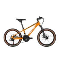 China 20 Inch Carbon Fiber Hardtail Mountain Bike for Kids 11.3kg 21 Speed for sale