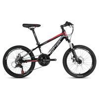 China Shimano EF500 21 Speed Aluminum Alloy Mountain Bike 20 Inch Kids Bicycle for sale