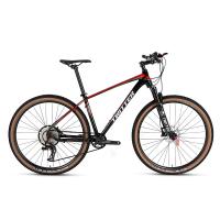 China 29er Aluminum Alloy Frame Mountain Bike 13 Speed Hydraulic Disc Brake MTB for sale