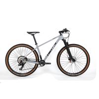 China 29er Thru Axle Carbon Fiber Mountain Bike 29 27.5 Inch Wheels 13 Speed Boost Frame for sale