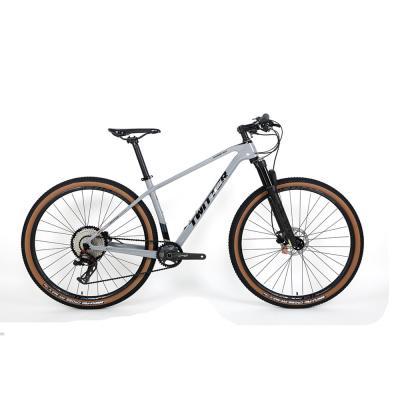 China 29er Thru Axle Carbon Fiber Mountain Bike 29 27.5 Inch Wheels 13 Speed Boost Frame for sale