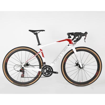 China 700C Carbon Fiber Gravel Bike 24 Speed Disc Brake 700x40C Tire for sale