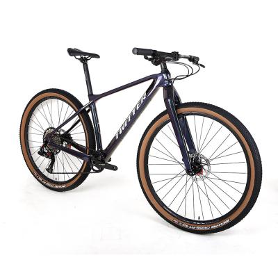 China TWITTER T800 Carbon Fiber Mountain Bike 29er SRAM SX 12 Speed Hydraulic Disc Brake for sale