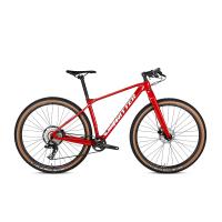China Twitter M6 29 Inch Carbon Fiber Mountain Bike MTB 12 Speed Rigid Fork 10.3kg for sale