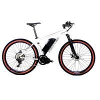 China Bafang Mid Drive Electric Mountain Bike 48V 10Ah Battery 27.5 29 Inch Alloy Frame 350W 750W for sale