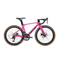 China Freedom Carbon Road Bike 22 Speed Disc Brake Thru Axle 142mm Carbon Fiber Kids Bike for sale