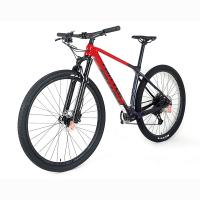 China Twitter Predator Pro Carbon Fiber Mountain Bike 29 Inch SRAM SX 12 Speed 11.7kg for sale