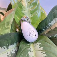 China USB Charging Cable Included Wearable Air Purifier for Pesticide and Disinfection in 1 M3 Coverage for sale