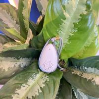 China USB Charging Cable Included Wearable Air Purifier for Pesticide and Disinfection in 1 M3 Coverage for sale