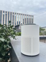 China Compact And Portable HEPA Air Purifier For Cars And Small Rooms With Cold Plasma for sale