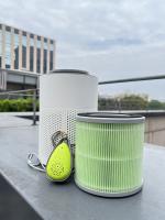 China Compact And Portable HEPA Air Purifier For Cars And Small Rooms With Cold Plasma for sale