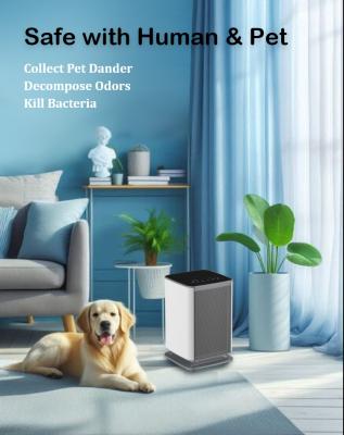 China 4.2kgs Air Disinfection Purifier Clean and Healthy Air at DC12V Voltage with FCC Certifications for sale