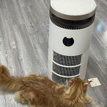 China Plasma Air Purifier for Pets with ABS Housing 480 m³/h CADR for sale