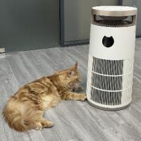 China VDETTE HP01 Ozone HEPA Air Purifier with Timer 220V White for sale