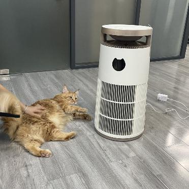 China 70dB Plasma Air Purifier for Pets with 480 m³/h CADR for sale