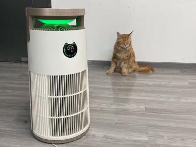 China HP01 Pet Air Purifier with 480 CADR and Plasma + UVC + HEPA H13 for Pet-Safe Air Purification for sale