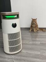 China HP01 Pet Air Purifier with 480 CADR and Plasma + UVC + HEPA H13 for Pet-Safe Air Purification for sale