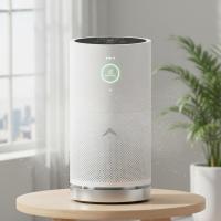 China Rated Voltage 5V Air Purifier HEPA Including Air Control Suitable for Allergic Sensitive and Polluted Environments for sale