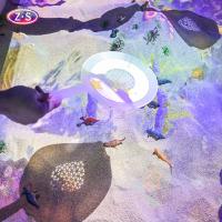 China Commercial Augmented Reality Sandbox for Interactive Learning and STEM Education for sale