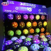 China Commercial Interactive Motion Solution Immersive Bouncing Sphere for Kids Projects for sale
