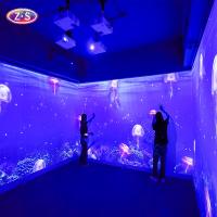 China Multi Scene Entertainment Immersive Interactive Projection Solution for Art Gallery for sale