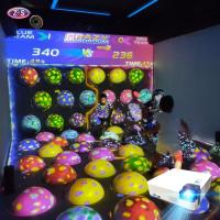 China Commercial Interactive Ball Games Immersive Jumping Sphere for Kids Play Centers for sale