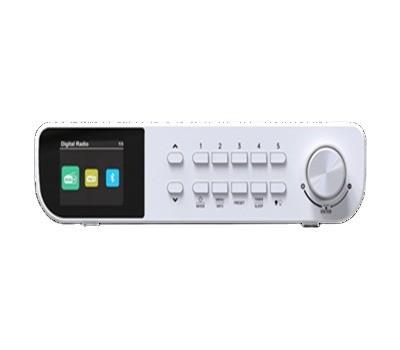 China Portable DAB FM Radio Adapter YT81112 with 30 Preset Stations and 192x43.5x139mm Compact Design for sale
