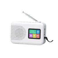 China Private Mold Portable DAB/DAB+ FM Radio with 2.4