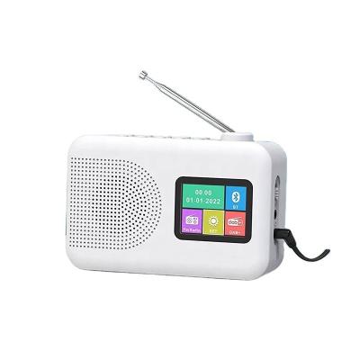 China Private Mold Portable DAB/DAB+ FM Radio with 2.4