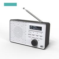 China At A Loss Digital DAB+ Radio with Built-in Speaker and Alarm Clock - Portable Design with Mono Color Display for sale