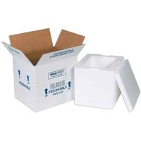 China Wholesale Biodegradable Large Foam Cooler Insulated Carton Box with Styrofoam for Seafood Box Type Folder for sale