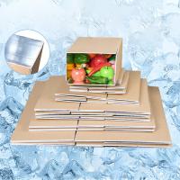 China Thermal Insulation Carton Boxes Bubble Liner Bag for Frozen Food Insulated Cold Shipping Cooler Box for sale