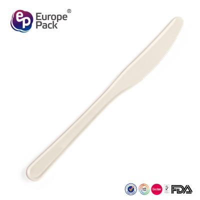 China 2019 new arrival high quality disposable biodegradable cake knife for sale