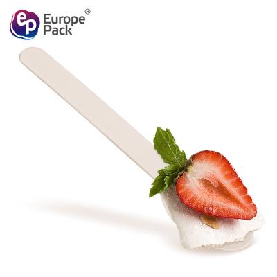 China Europe-Pack new products biodegradable long handle plastic ice cream spoon for sale