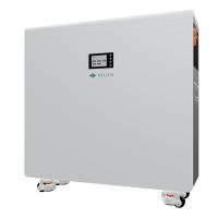 China 48V LiFePO4 Lithium Battery Pack with BMS for Electric Vehicles and Renewable Energy for sale