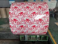 China RAL Color Prepainted Galvanized Steel Coil PPGI / PPGL / HDGL / HDGI Roll for sale