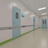 China Custom Single Leaf Steel Cleanroom Swing Door with 5mm Tempered Glass Window for 50mm+ Walls for sale