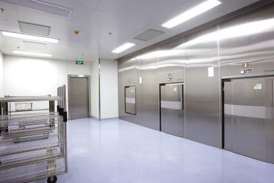 China Custom Laminar Flow Ceiling System for Cleanrooms - ISO Class 1-8 with 2600×2400mm Dimensions for sale