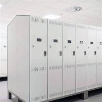 China 36 Inch Cleanroom Storage Cabinet 304 Stainless Steel Chemical Storage with C1D2 Certification 900x1700mm for sale