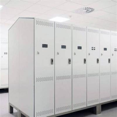 China 36 Inch Cleanroom Storage Cabinet 304 Stainless Steel Chemical Storage with C1D2 Certification 900x1700mm for sale